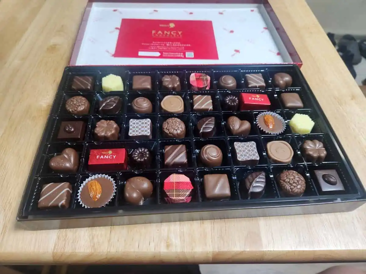메리스 팬시 초콜릿(mary’s Fancy Chocolate) 후기! 종류가 다양한 꽤나 고급 초콜릿!